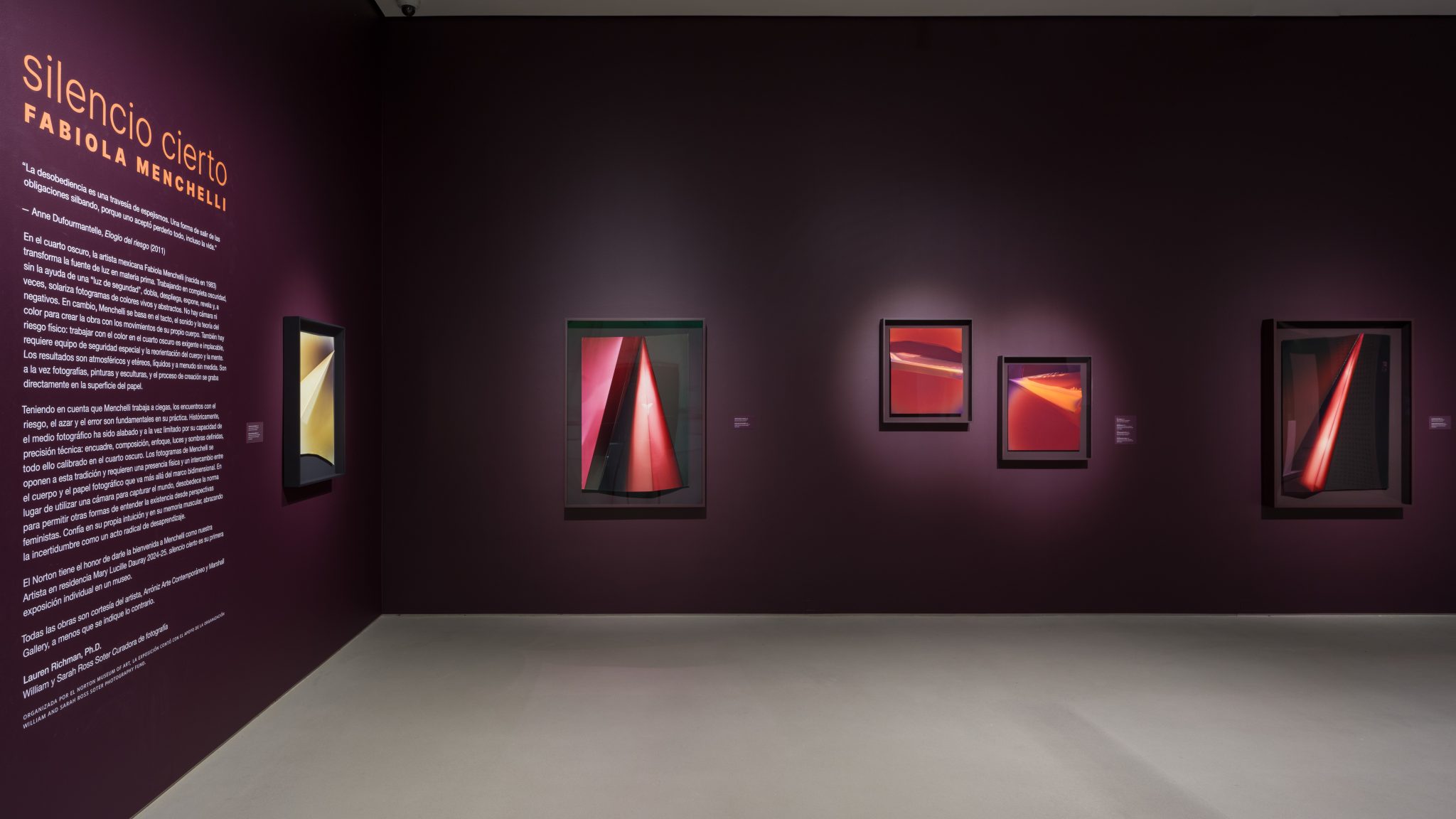 Exhibitions - Fabiola Menchelli