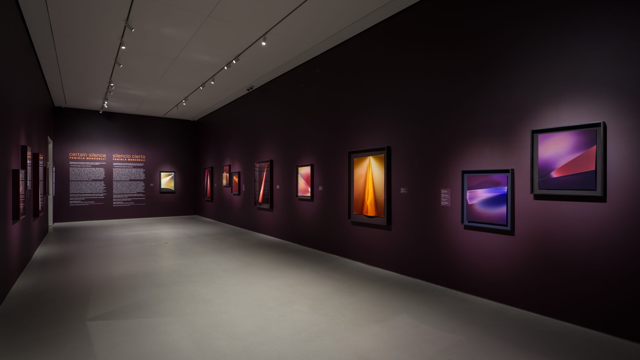 Exhibitions - Fabiola Menchelli