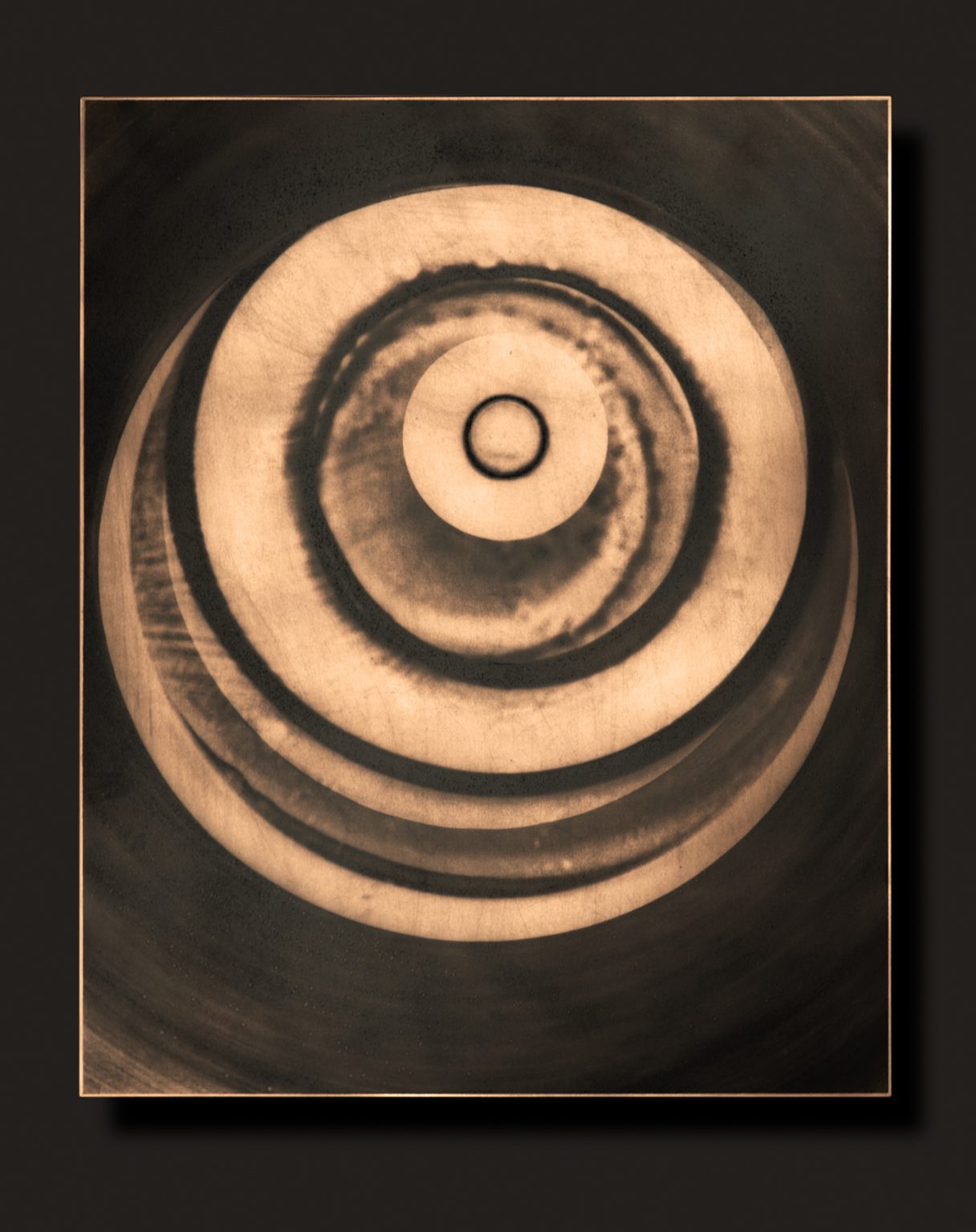 Exhibitions - Fabiola Menchelli